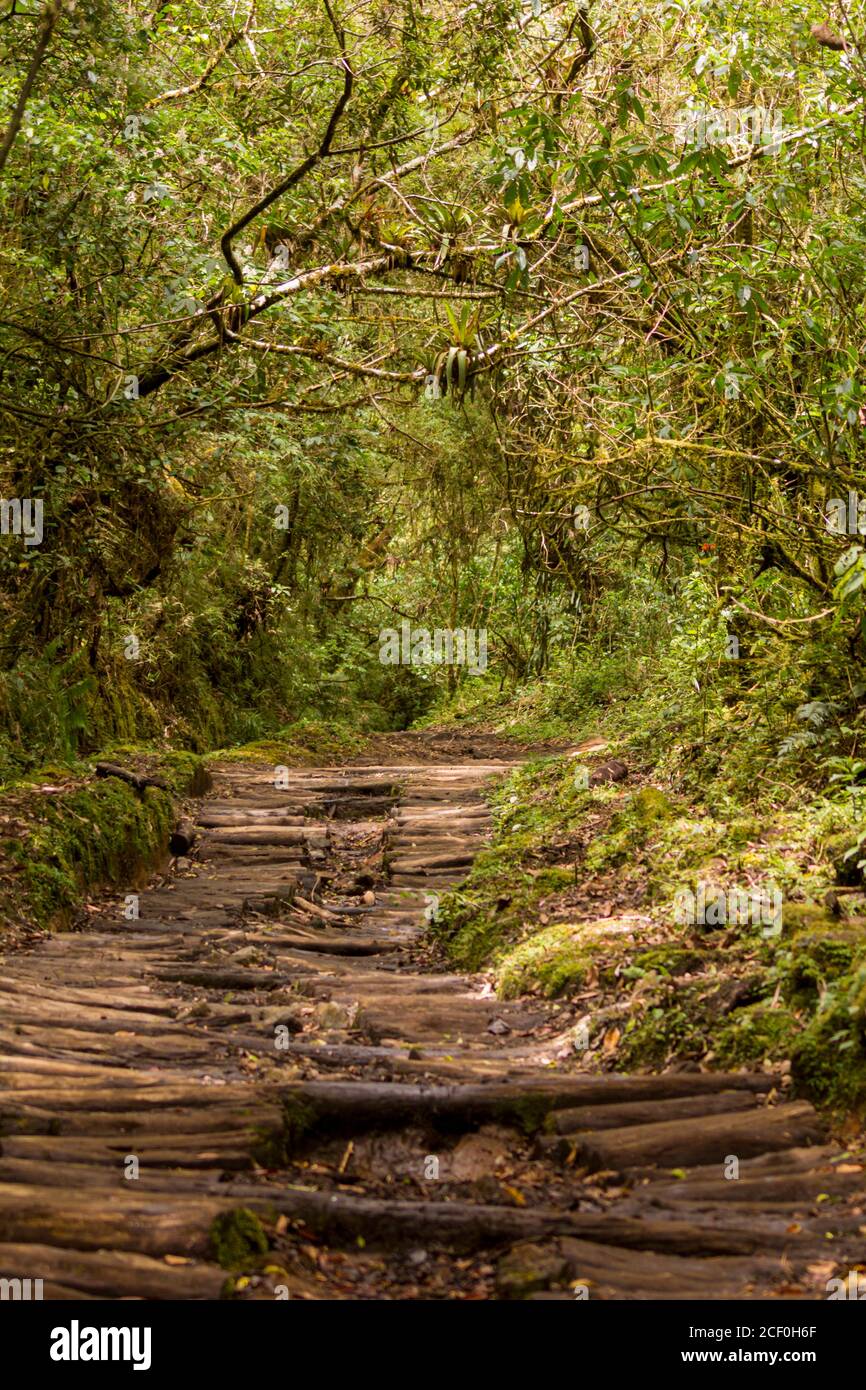 Barva volcano trails, National Park, tourist attraction in the province ...