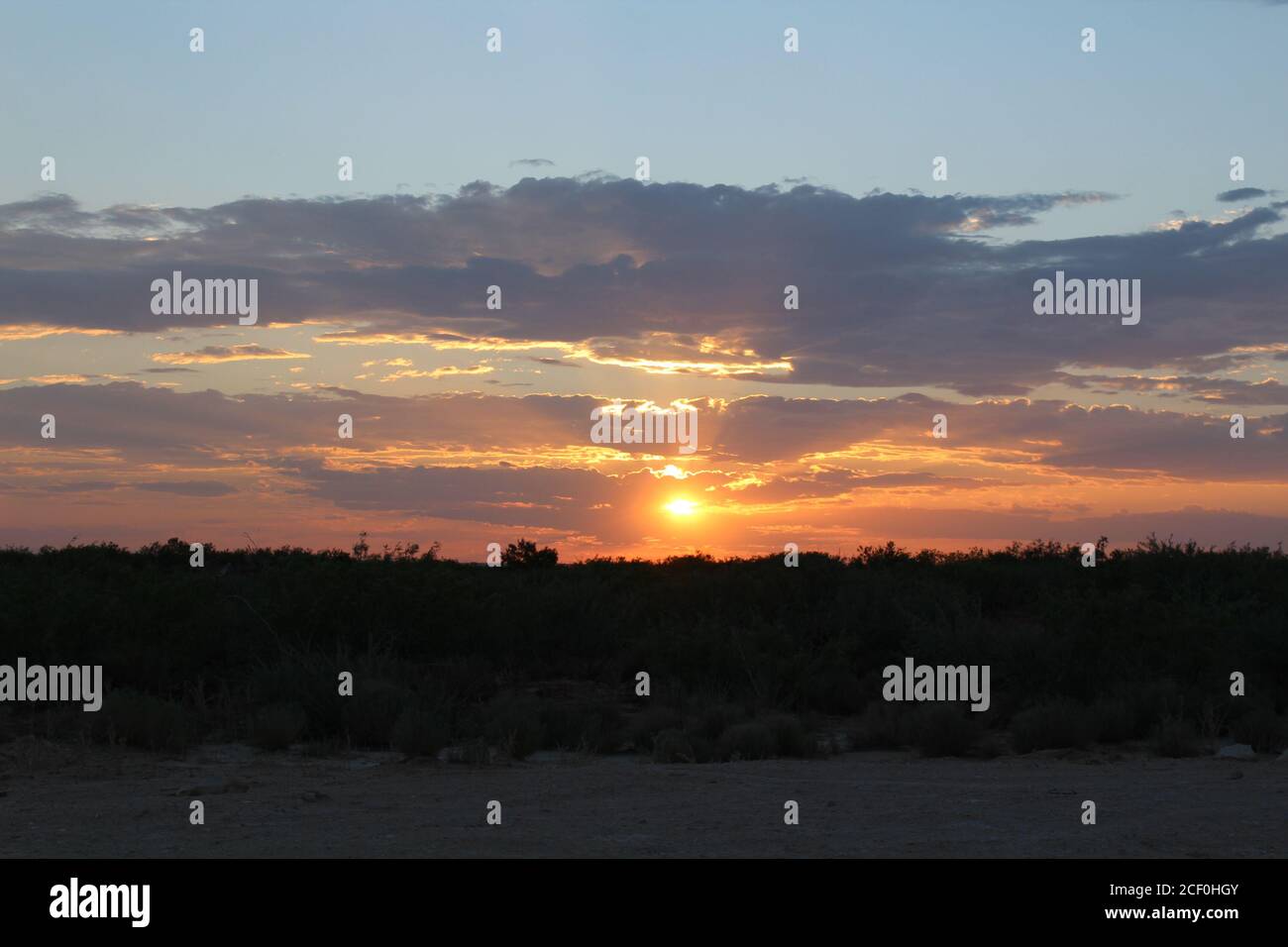 Texas Desert Landscape Sunset