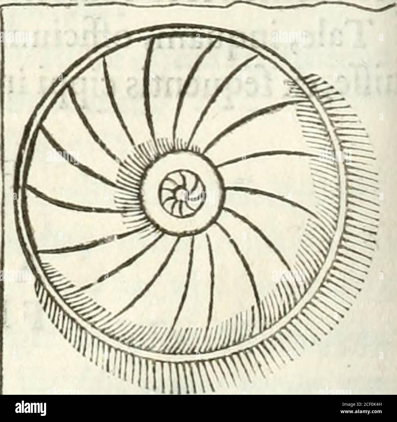 Columna traiani hi-res stock photography and images - Alamy