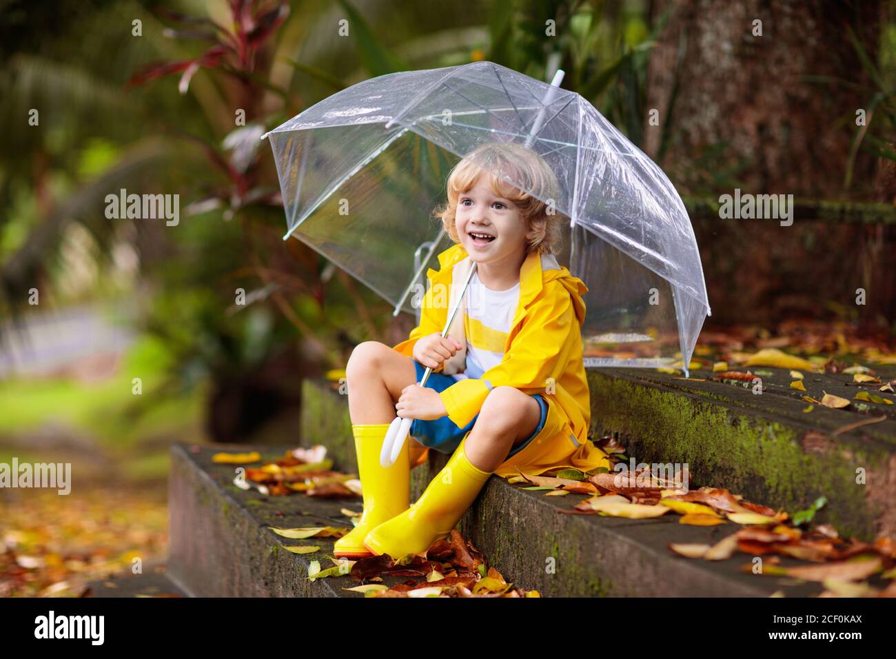 Child playing in autumn rain. Kid with umbrella. Little boy running in ...