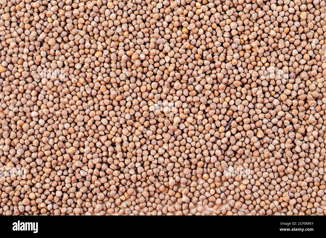 Perilla aldehyde hi-res stock photography and images - Alamy