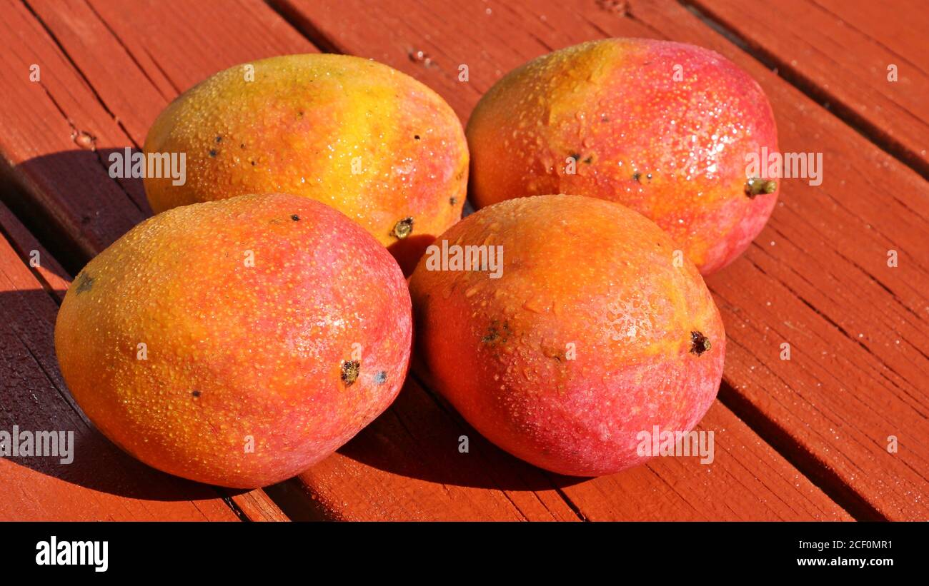 4 mangoes hi-res stock photography and images - Alamy