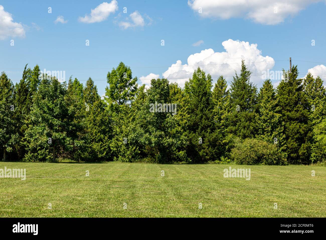 Treeline hi-res stock photography and images - Alamy