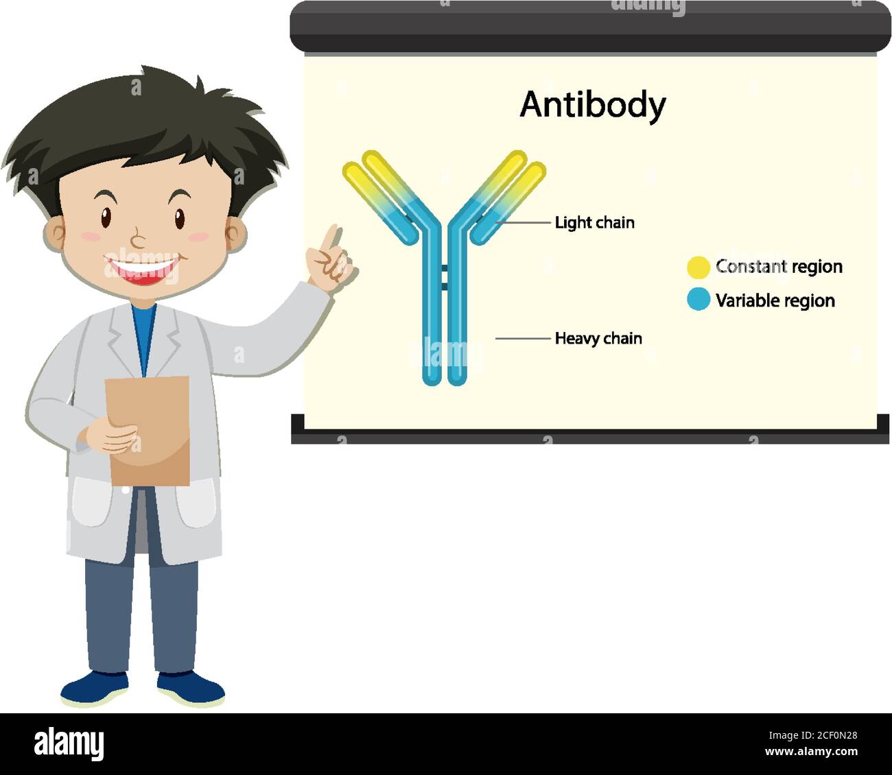 A doctor with Antibody on projector screen in cartoon style ...