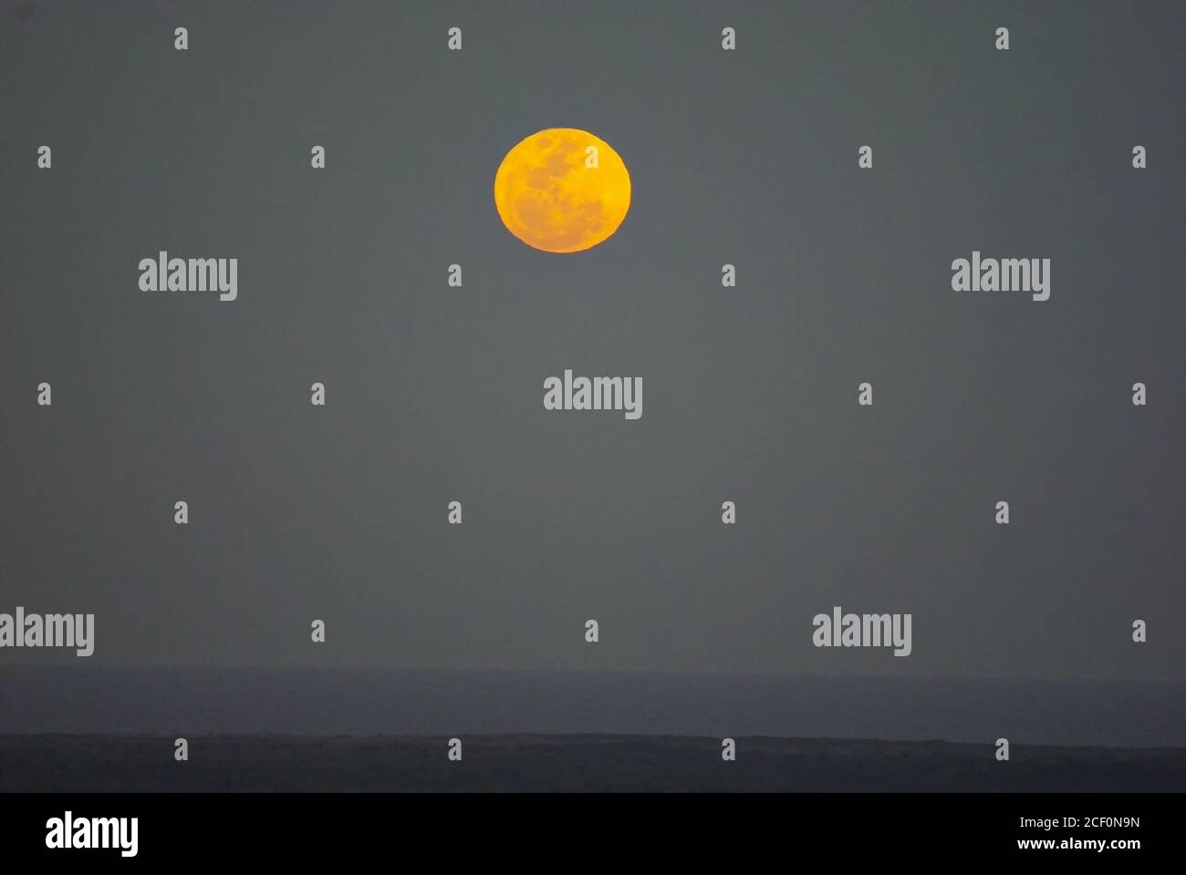 Full moon rising over Lake Cootharaba Noosa Queensland Stock Photo - Alamy