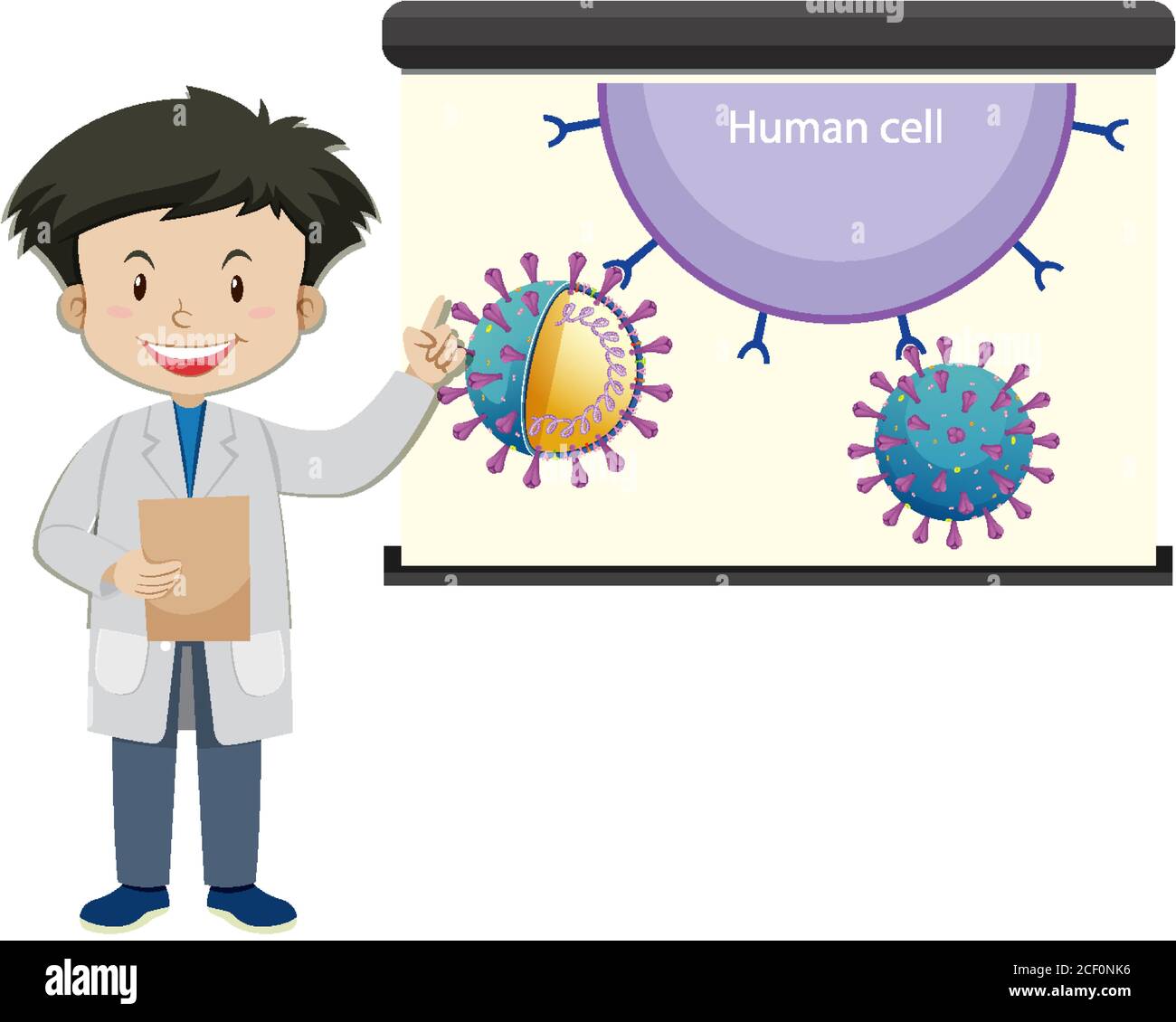 A doctor with human cell on projector screen in cartoon style ...
