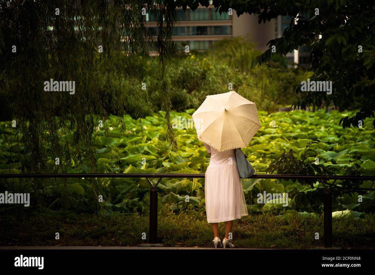 Greenery day japan hi-res stock photography and images - Alamy