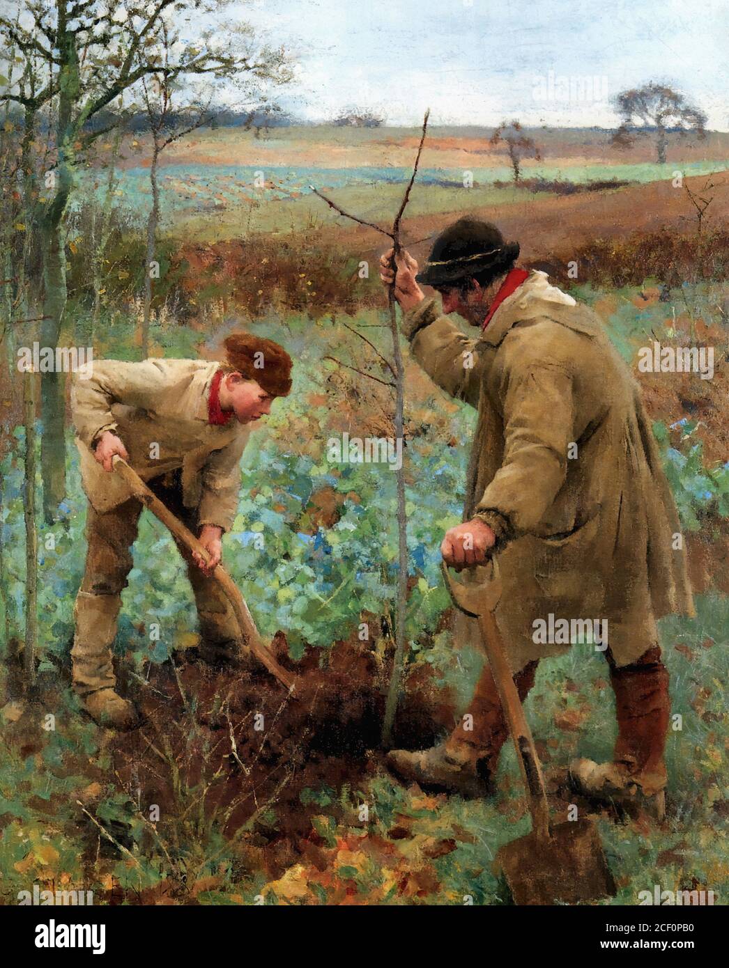 Planting a tree hi-res stock photography and images - Alamy