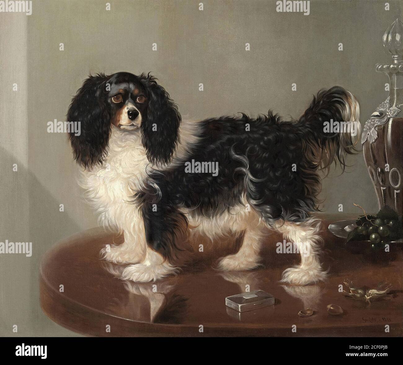 King george spaniel hi-res stock photography and images - Alamy
