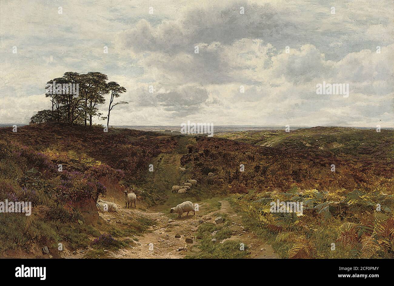 Ringwood school hi-res stock photography and images - Alamy