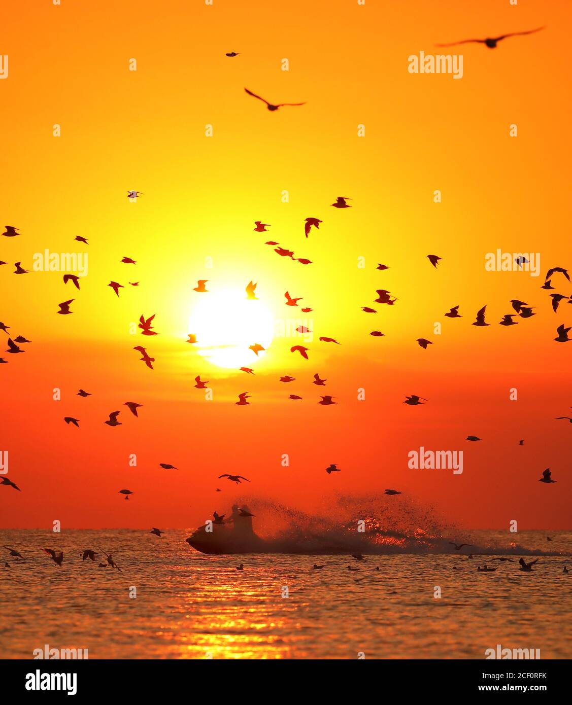 Heacham, UK. 01st Sep, 2020. Birds are scattered as a jetskier powers ...