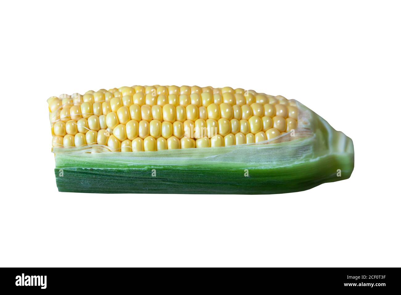 Fresh corn fruits with green leaves isolated .,An ear of corn isolated ...