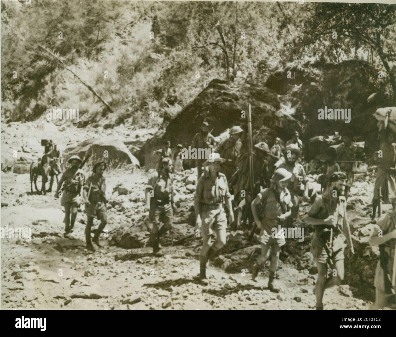 World War Ii Dodge High Resolution Stock Photography and Images - Alamy