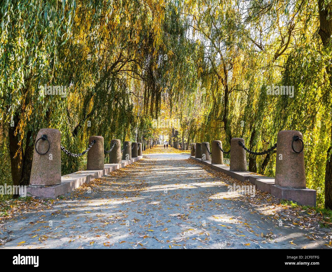 beautiful bridge and pedestrian walkway through autumnal public park ...