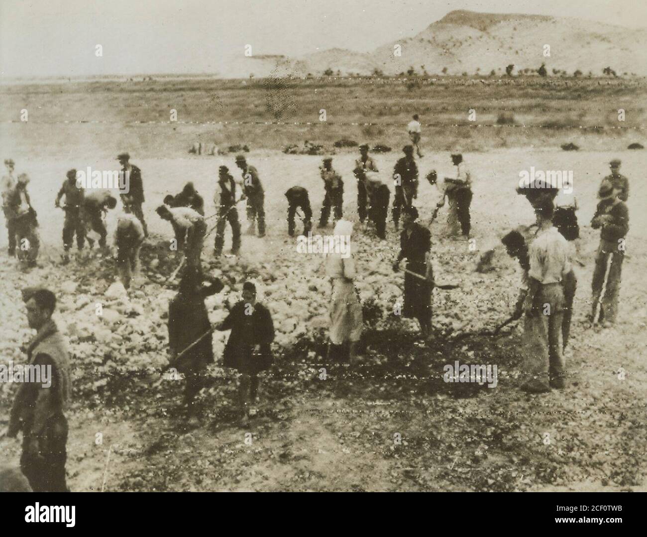 Greek infantry wwii hi-res stock photography and images - Alamy