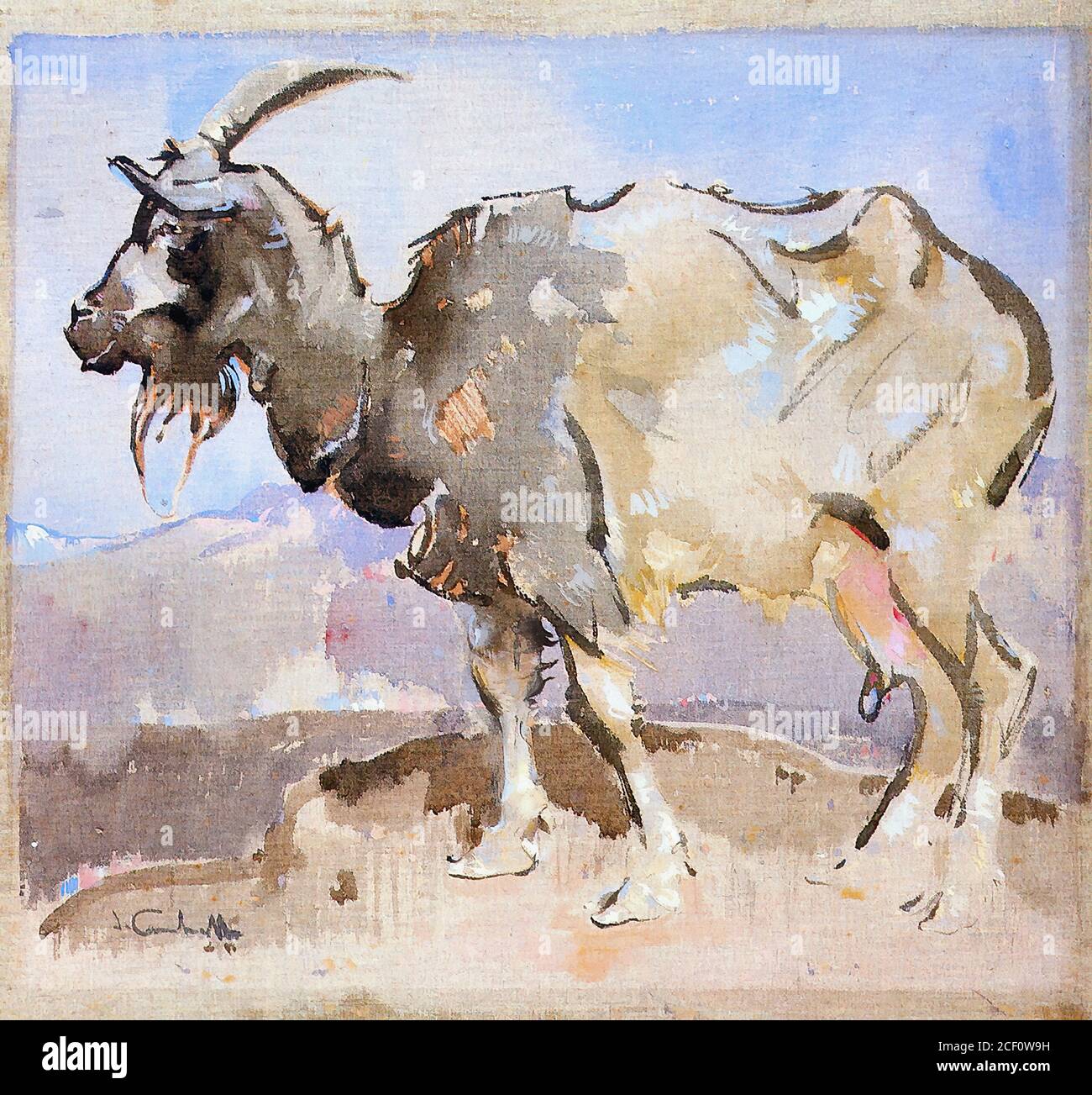 Crawhall Joseph - the Goat 1 - British School - 19th Century Stock ...