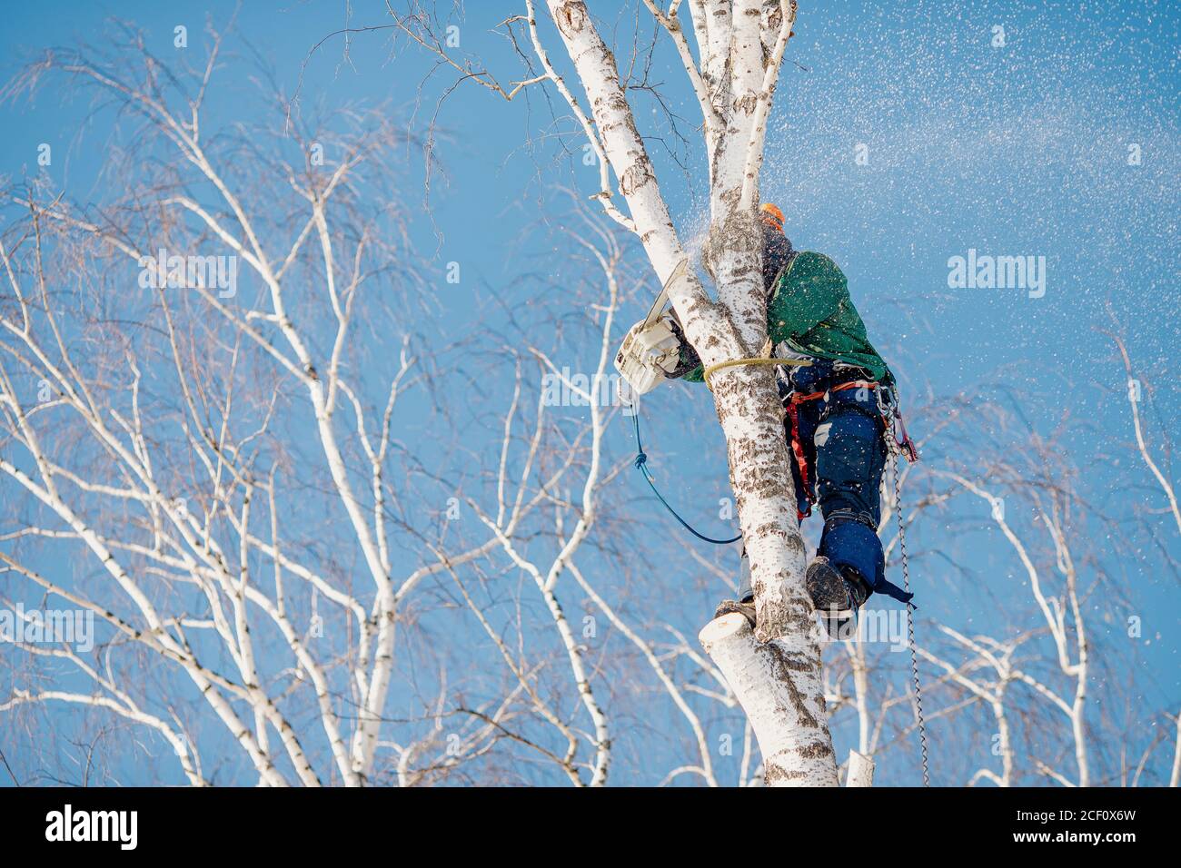 Professional lumberjack hi-res stock photography and images - Alamy