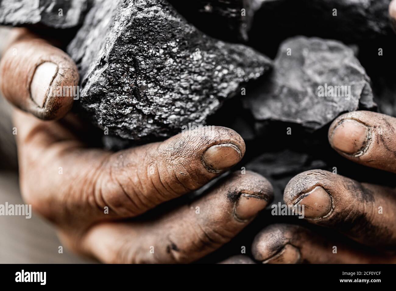 Miner dirty hands holding piece of fossil lignite coal mine Stock Photo ...