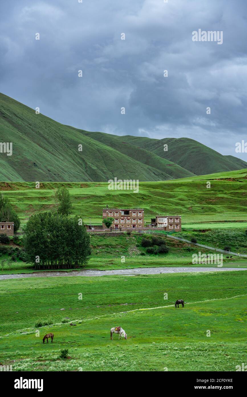 Samll green house hi-res stock photography and images - Alamy