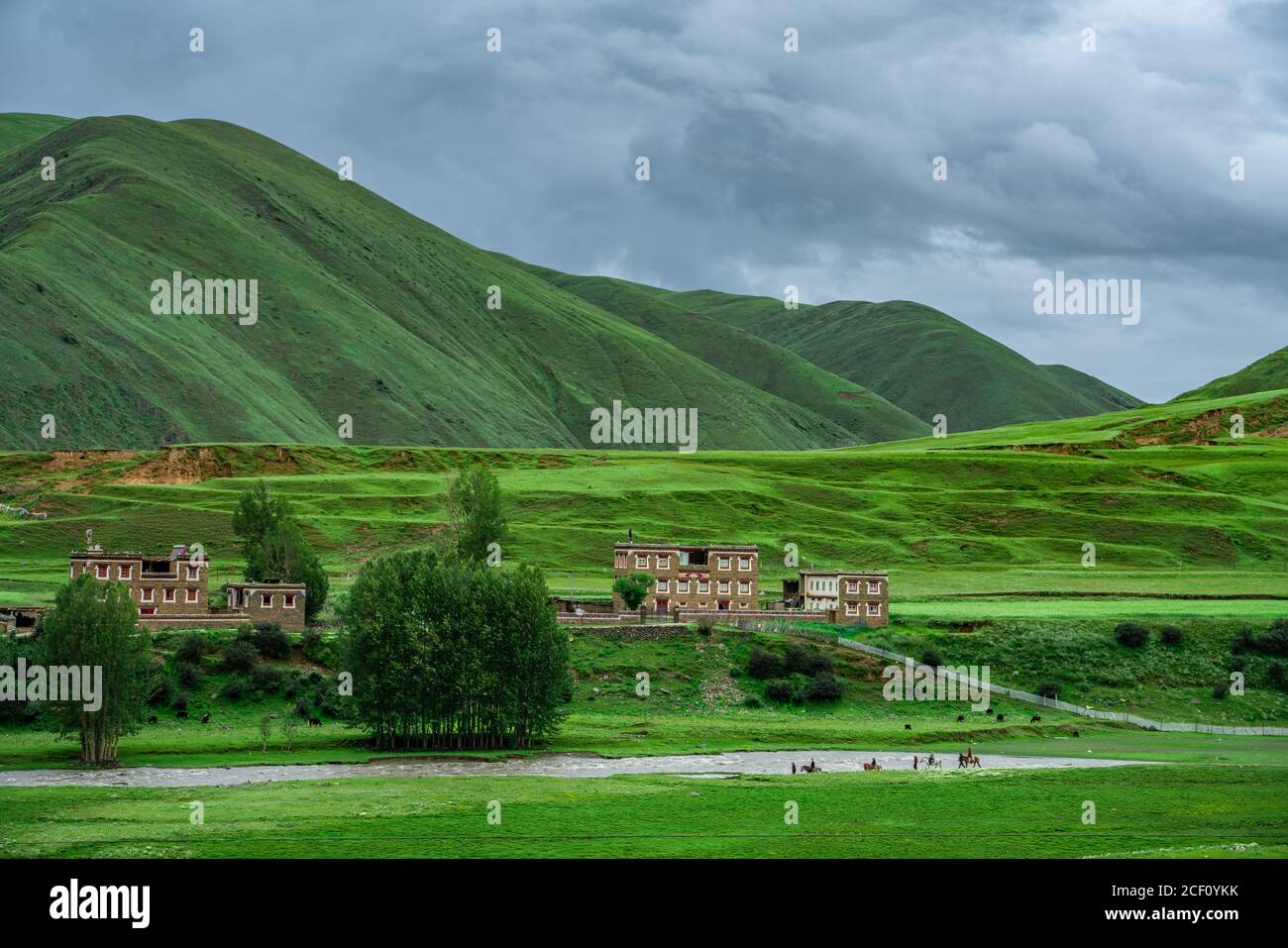 Samll green house hi-res stock photography and images - Alamy