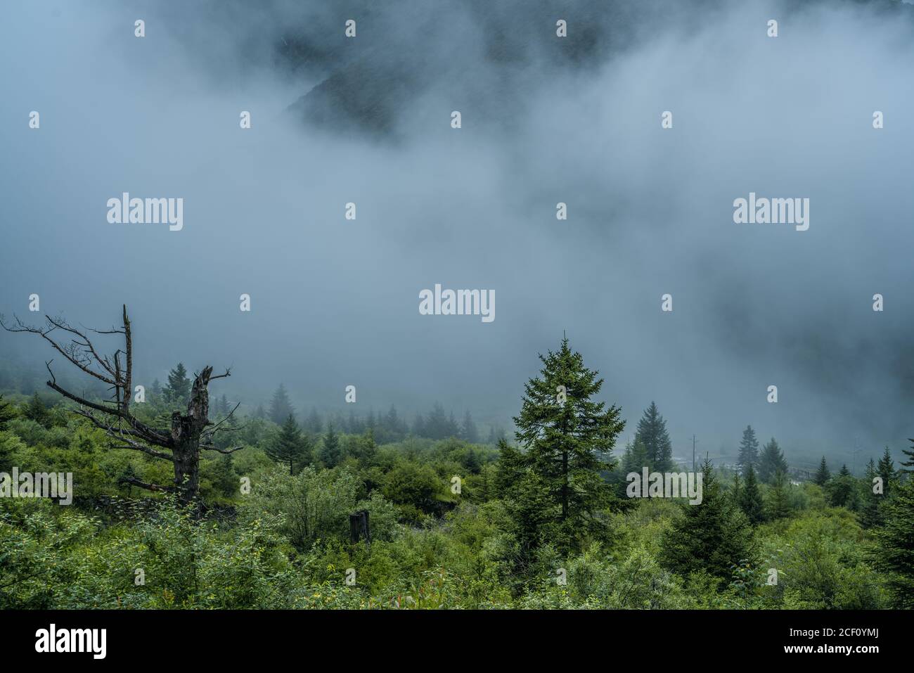A mountain valley in Tibet, summer time Stock Photo - Alamy