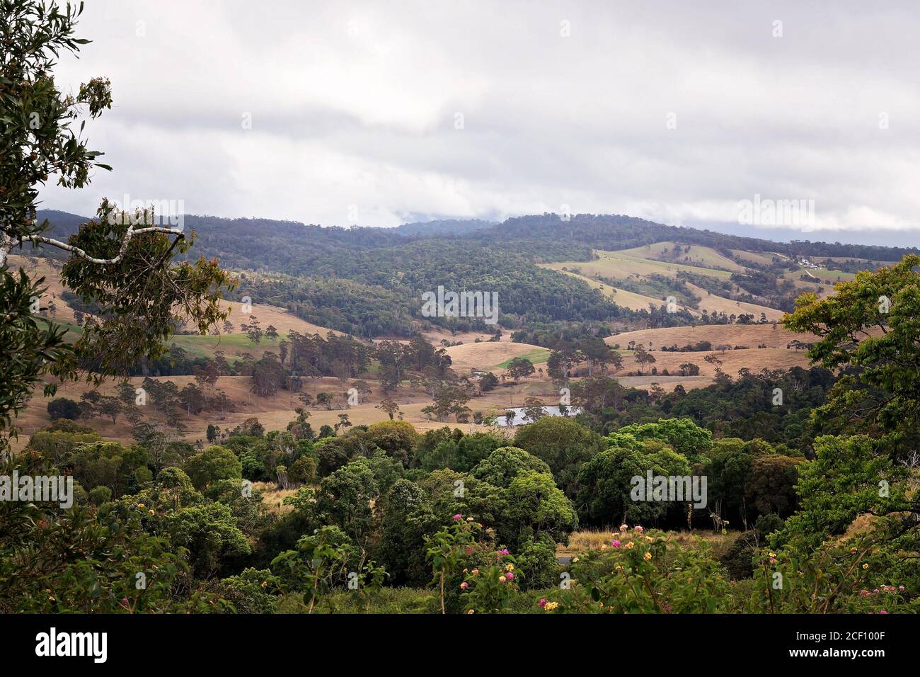 Trees Frame rural dairy farms in a valley between the mountains within ...