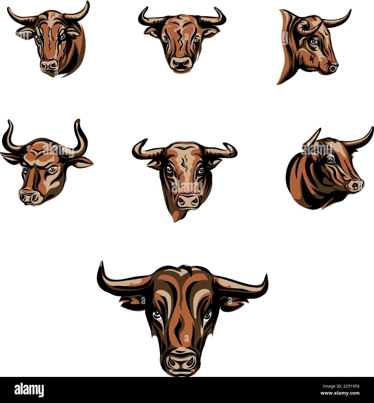 bull, portrait, head, color, vector, animal, illustration, icon ...