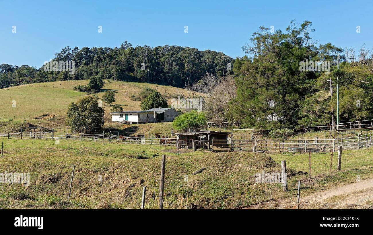 A typical Australian diary farm located in the mountains surrounded by ...