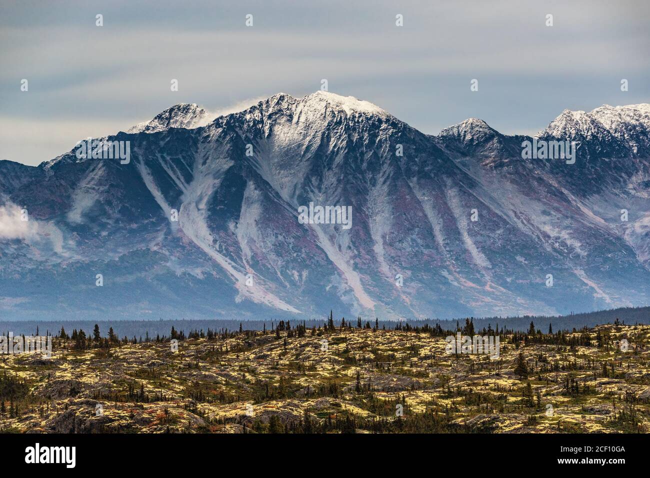 Tundra arctic landscape alaska hi-res stock photography and images - Alamy