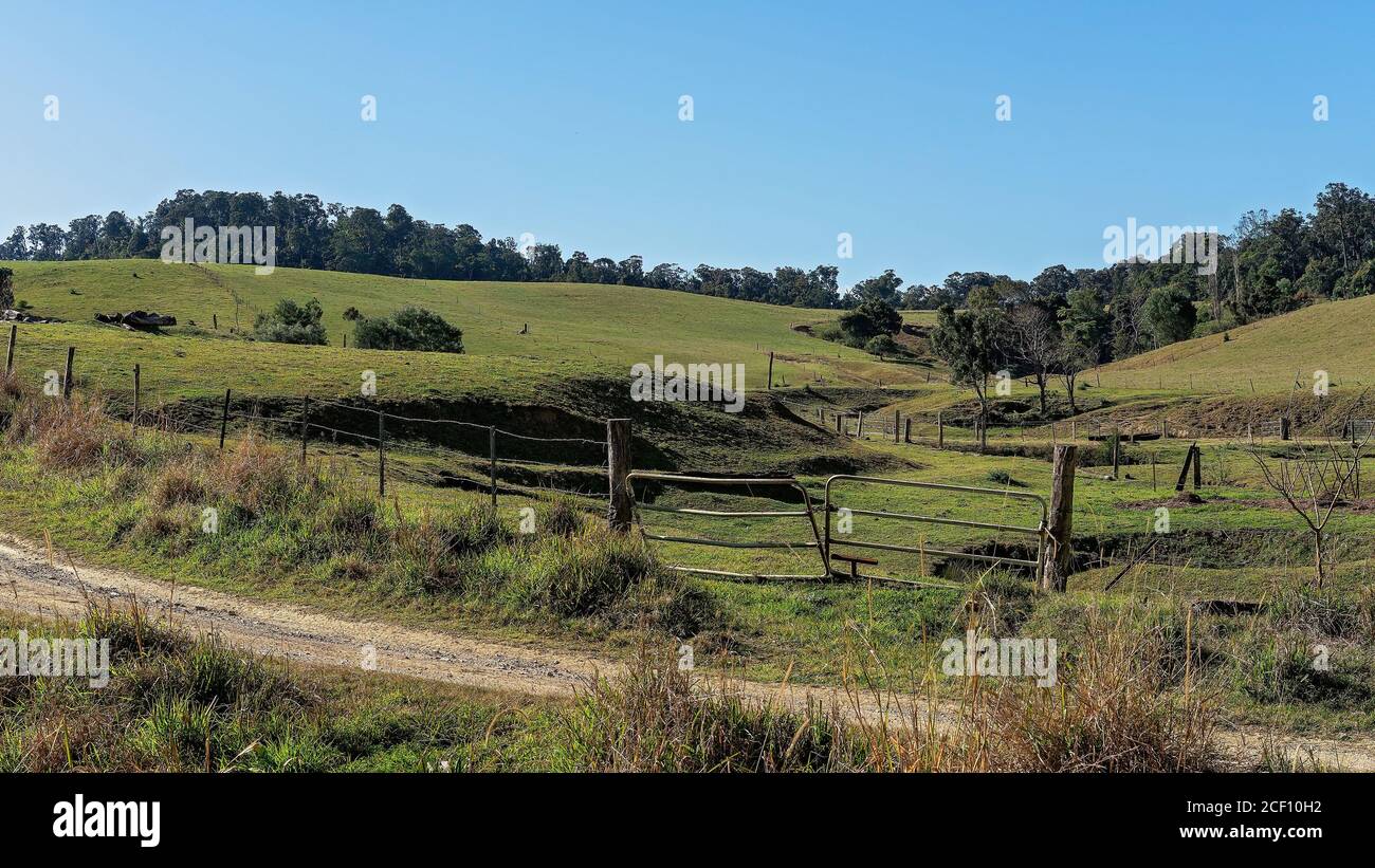 Eungella National Park High Resolution Stock Photography and Images - Alamy