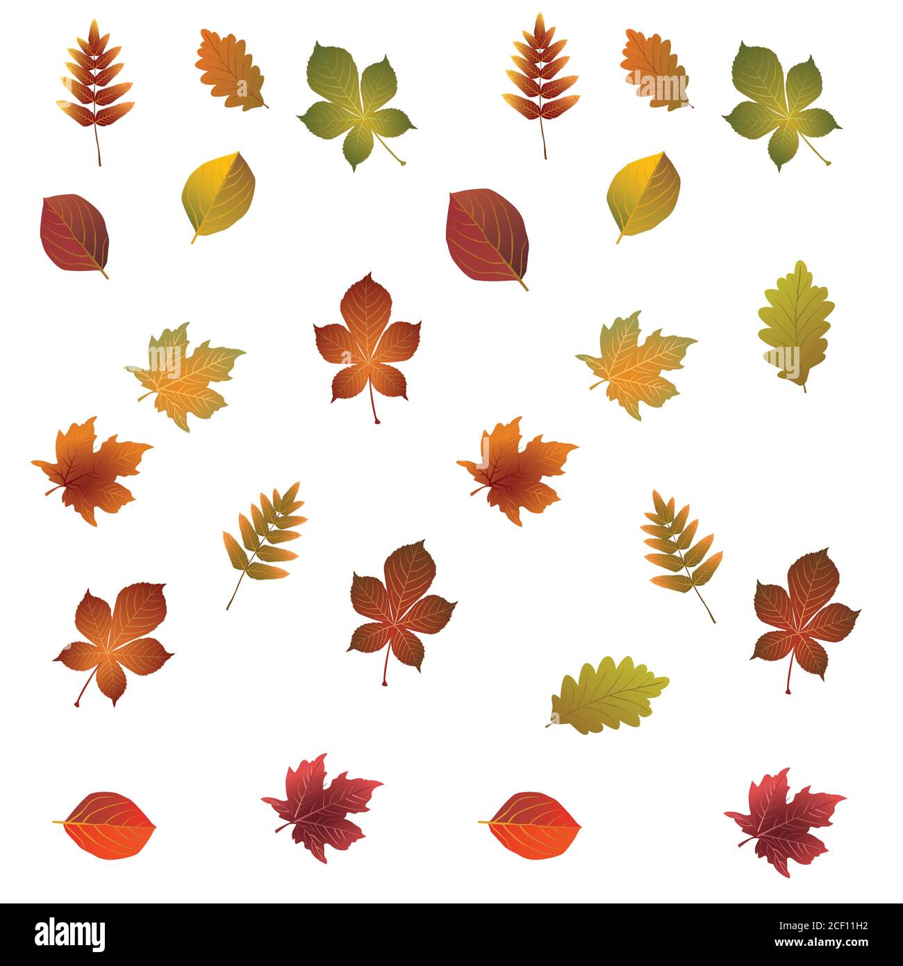 colorful autumn leaves set, isolated on white background. vector ...