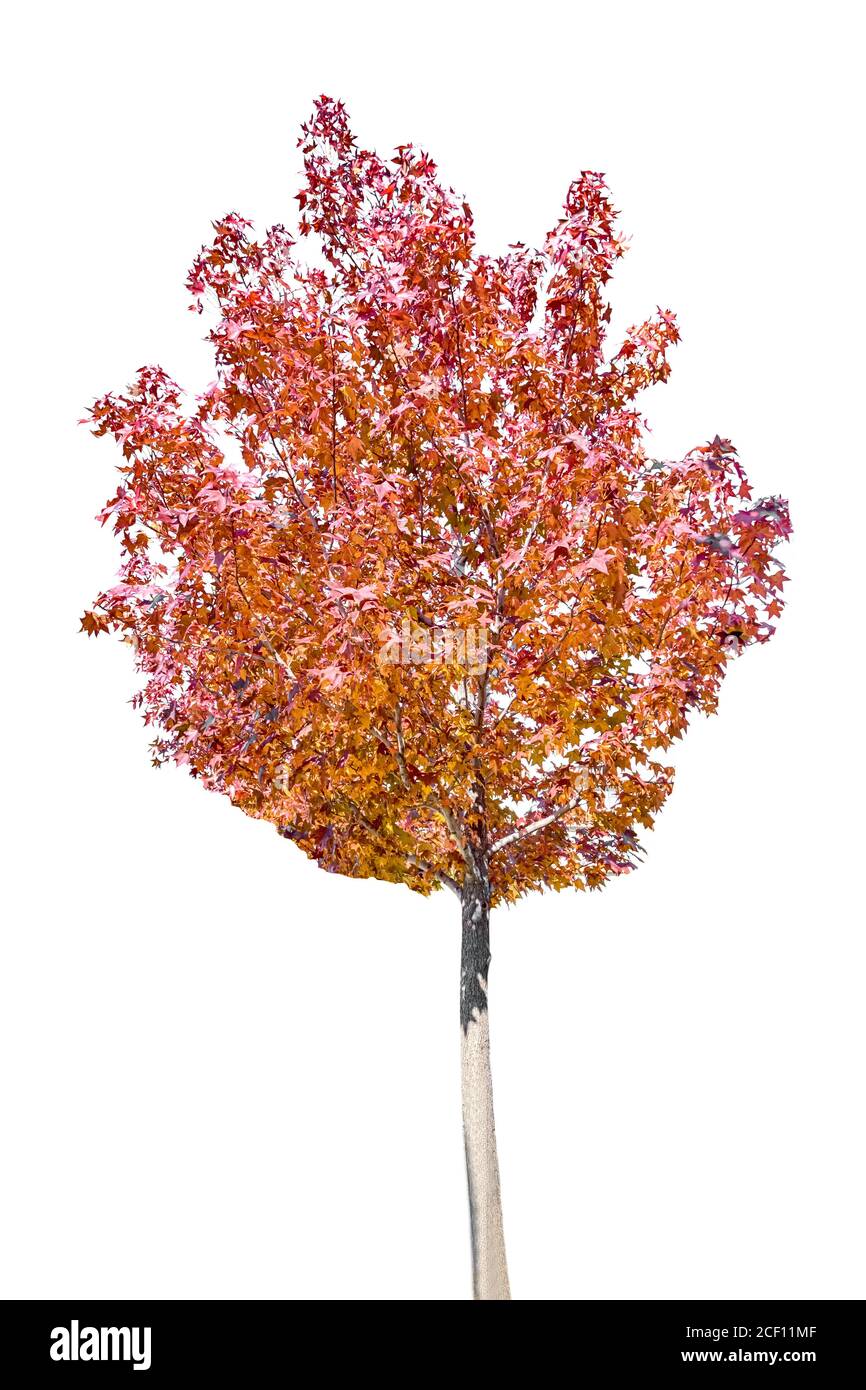 Vibrant color in sky Cut Out Stock Images & Pictures - Alamy