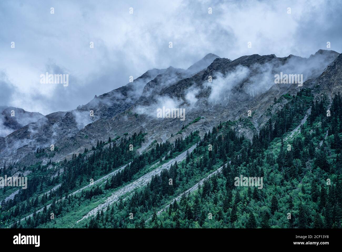 Mountain and valley landscape in Nyingchi, in Tibet, summer time, with ...