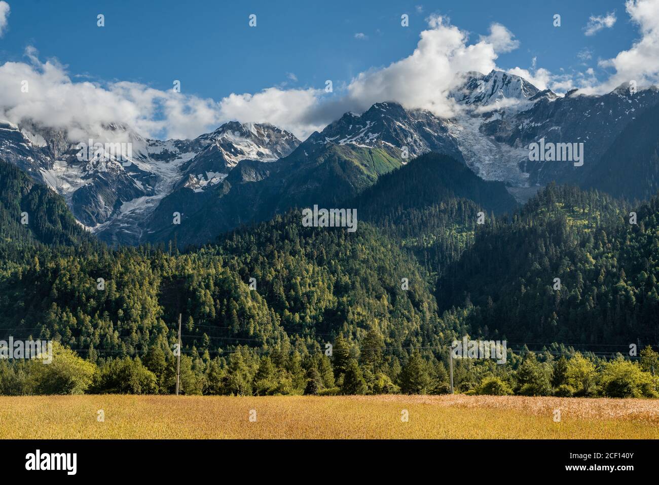 A mountain valley in Tibet, summer time Stock Photo - Alamy