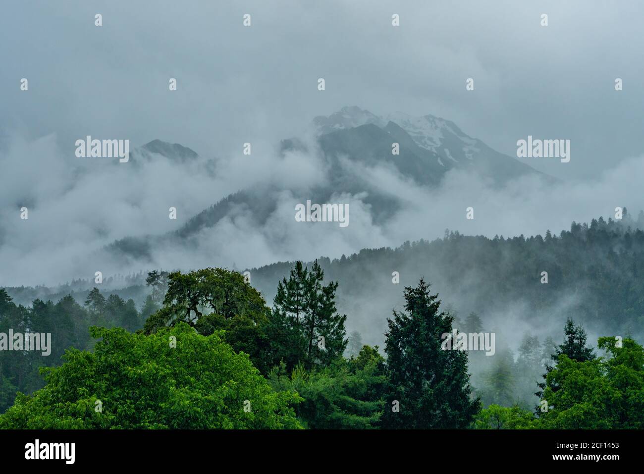 Mountain and valley landscape in Nyingchi, in Tibet, summer time, with ...