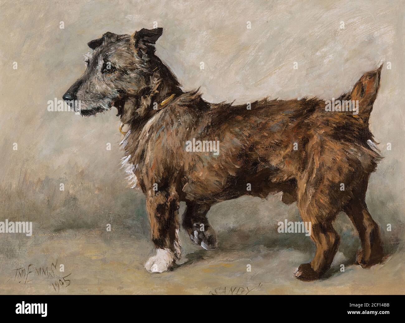 Emms John - Sandy - British School - 19th Century Stock Photo - Alamy