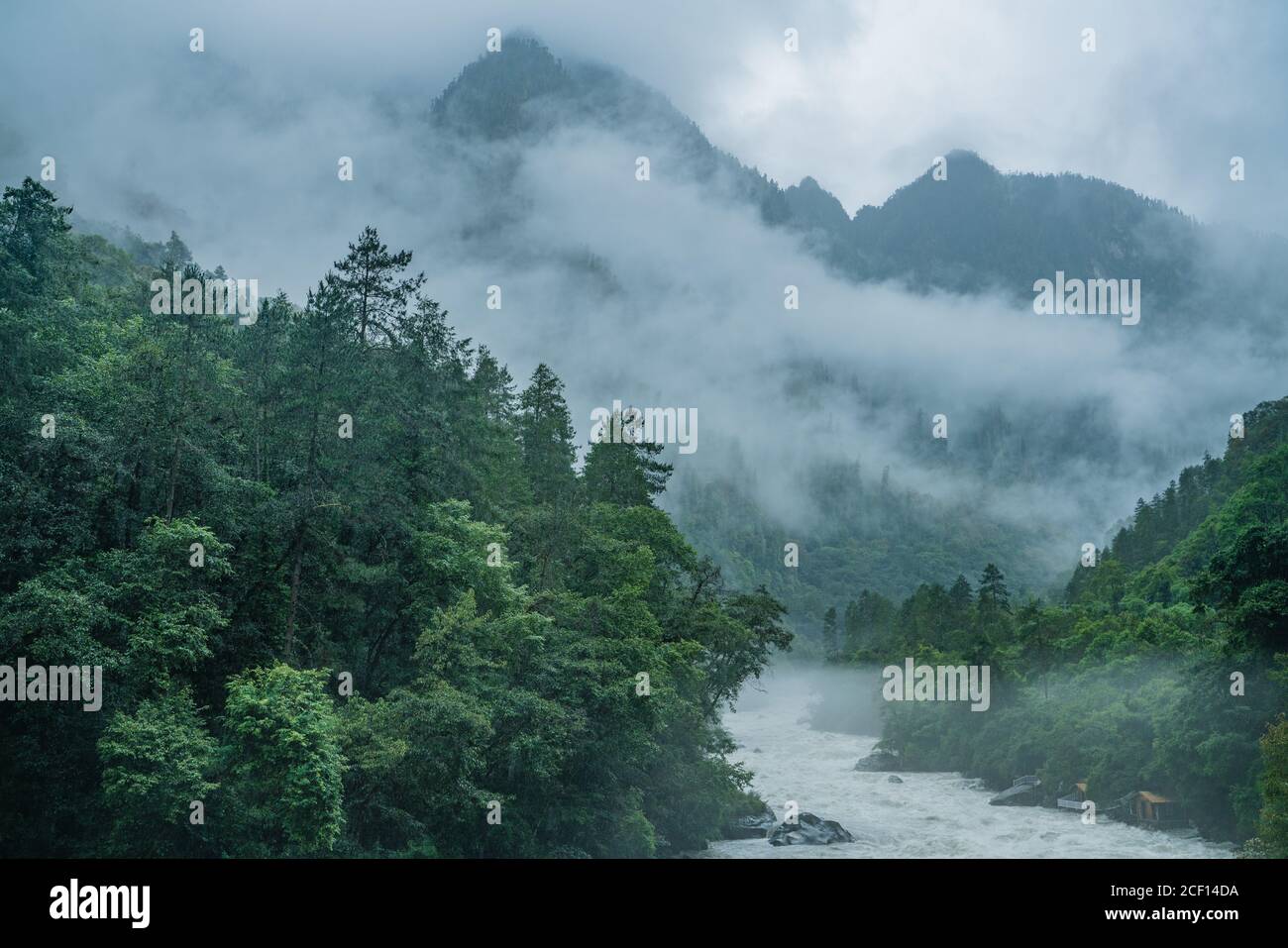Mountain and valley landscape in Nyingchi, in Tibet, summer time, with ...
