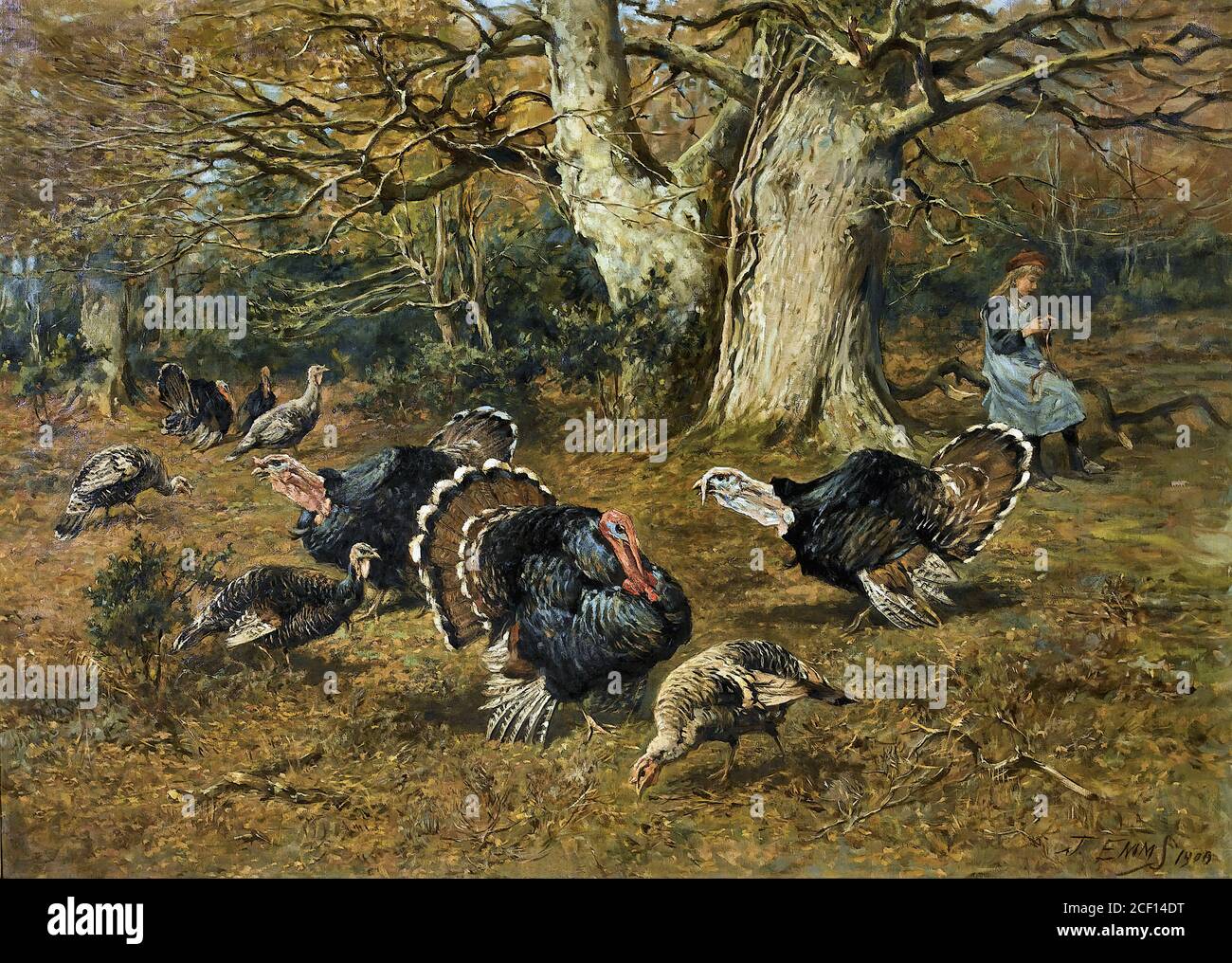 Emms John - Turkeys in a Wood - British School - 19th Century Stock ...