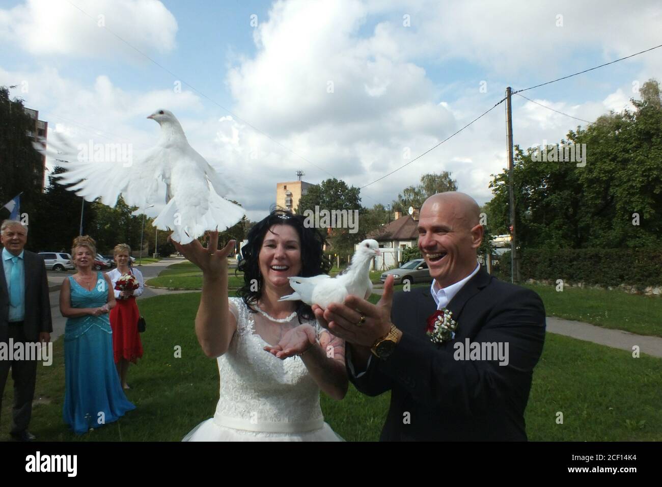 Doves with wedding rings hi-res stock photography and images - Alamy