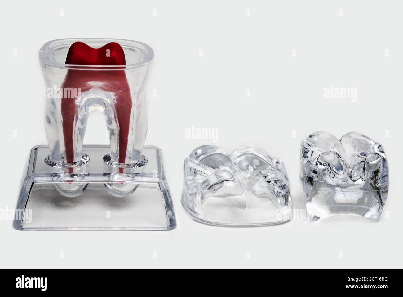 Structure Of The Healthy Tooth High Resolution Stock Photography and ...