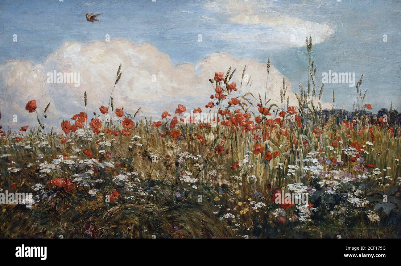 Field Walter - Field of Poppies - British School - 19th Century Stock ...