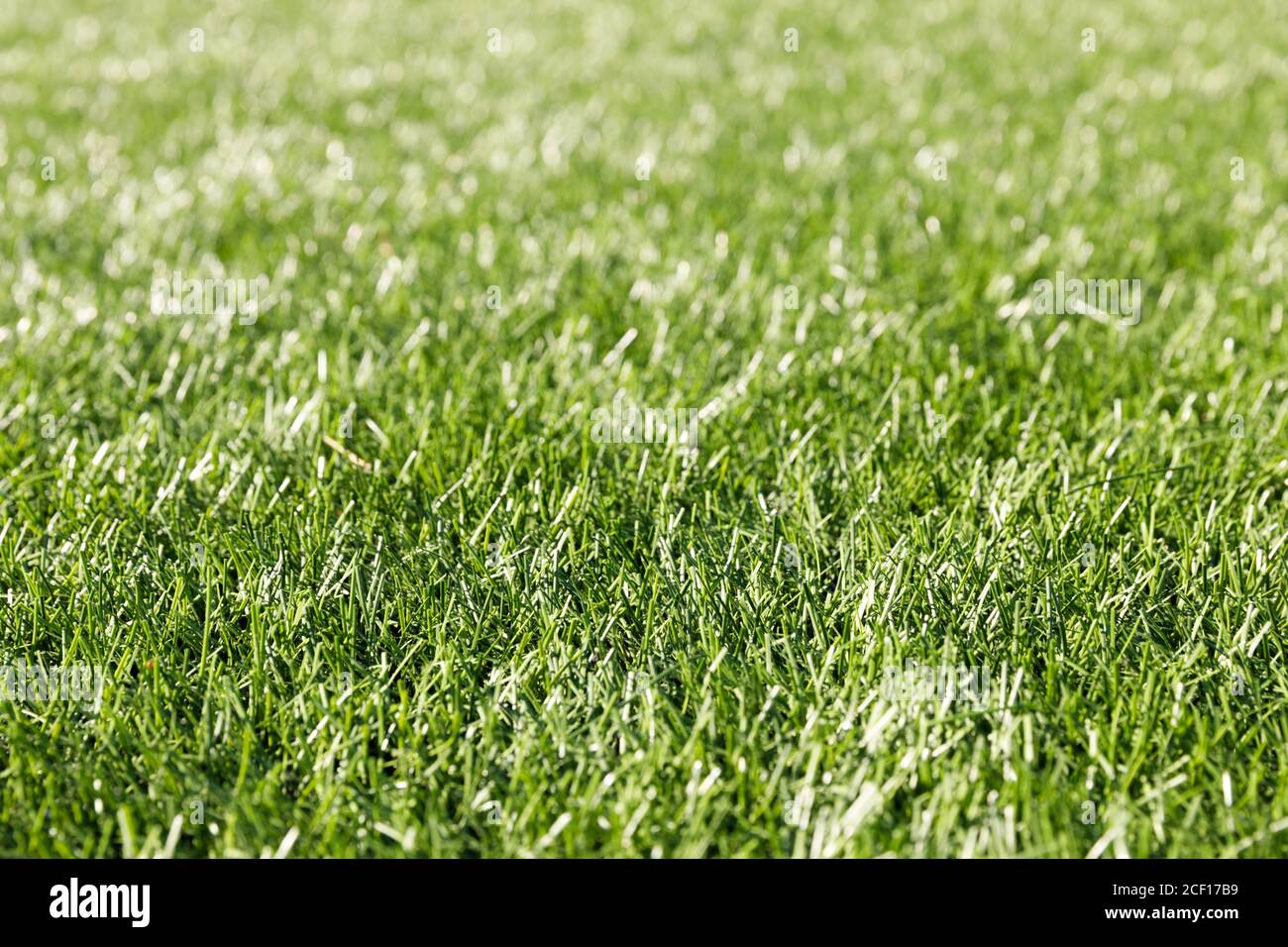 bright green grass. background for design Stock Photo - Alamy