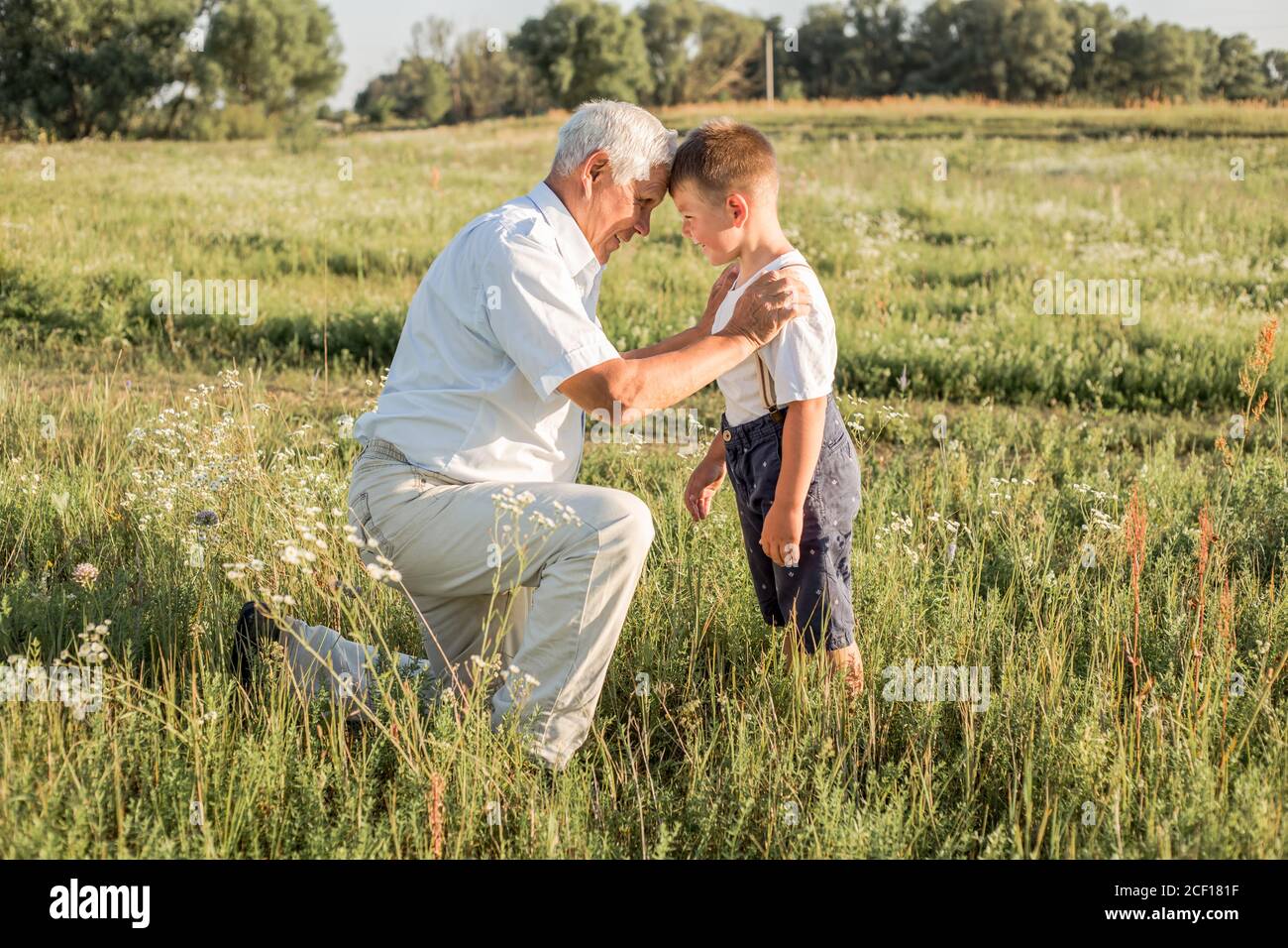 Happy child with Grandfather playing at the meadow. Grandpa retiree ...