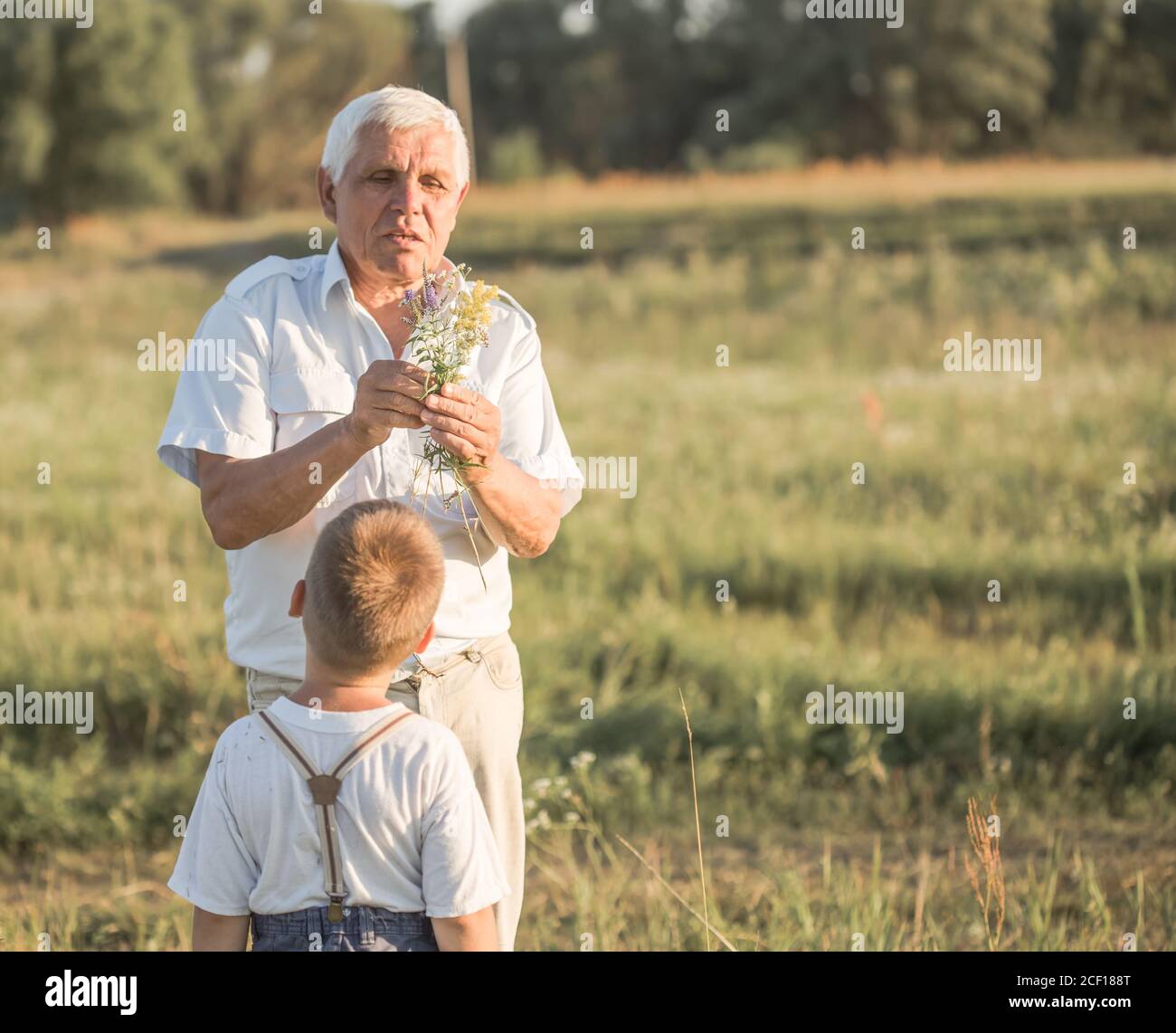 happy grandfather and grandson walking at summer meadow. Cute boy gives ...