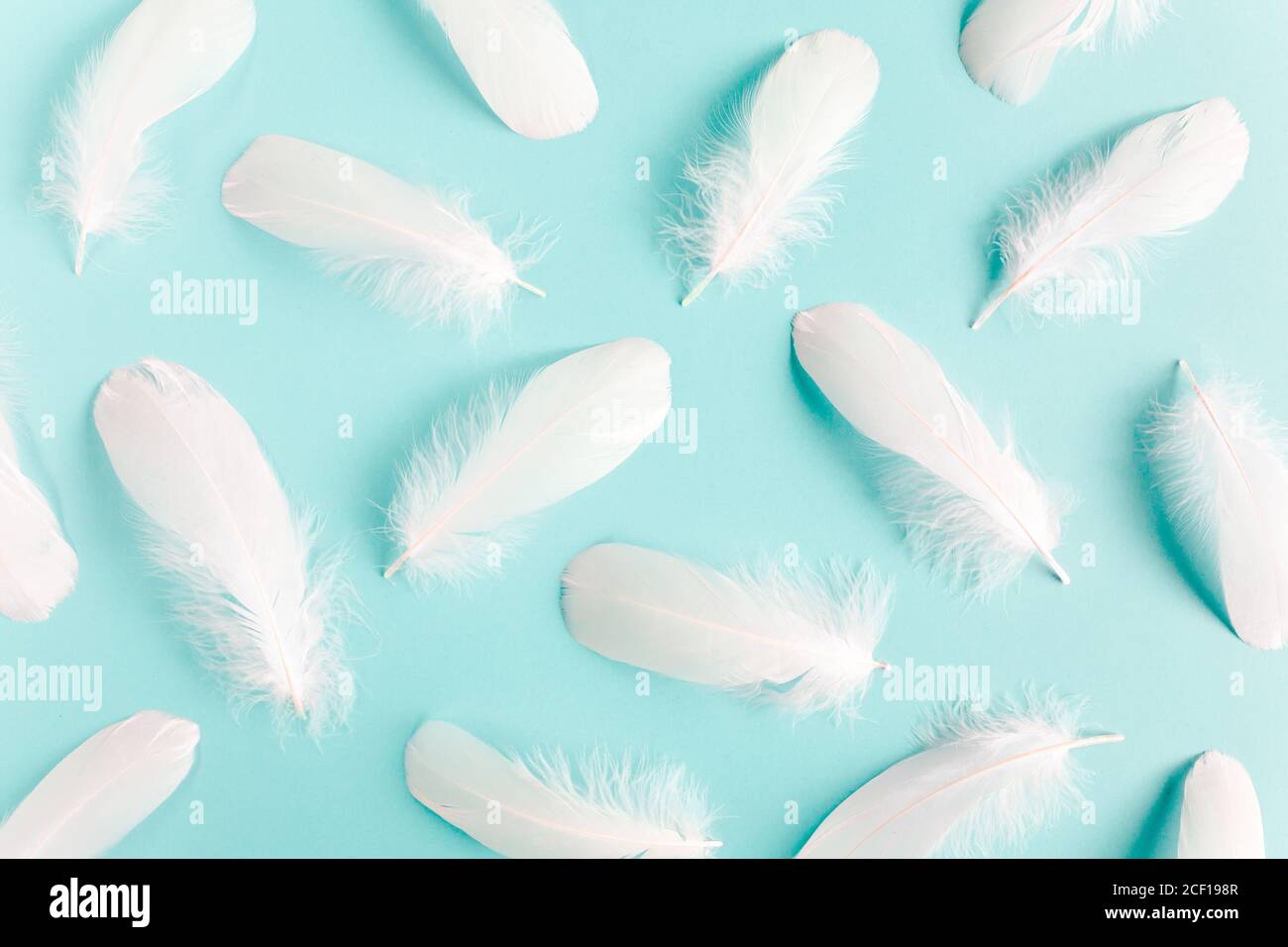 White feather texture on a blue background. Feather background. Flat ...