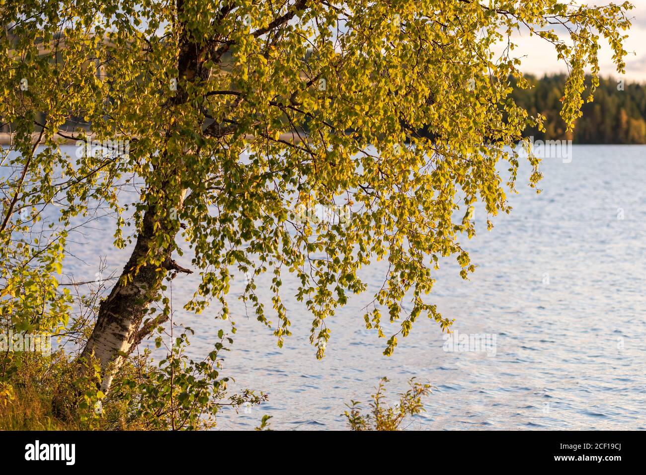 Beauty of finland hi-res stock photography and images - Alamy