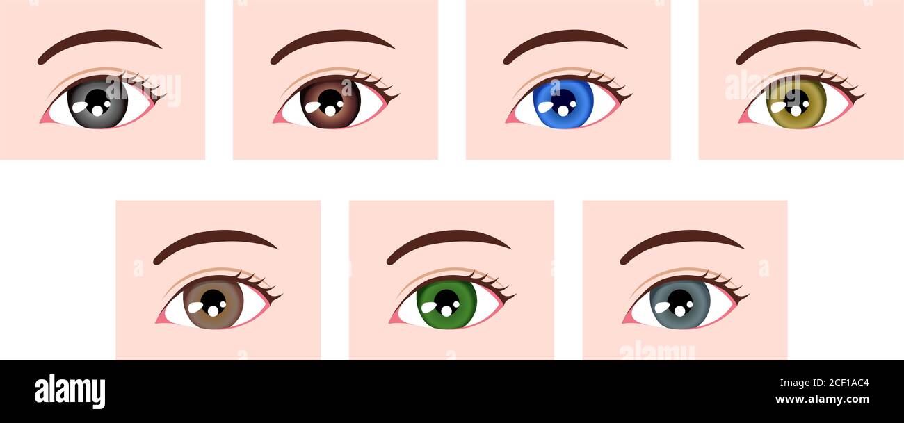 Types Of Eyes Color