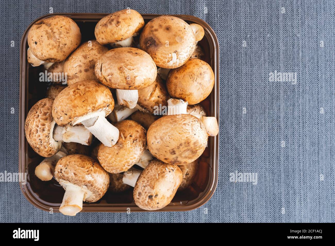 Mushrooms in plastic container close up on grey background, view from ...