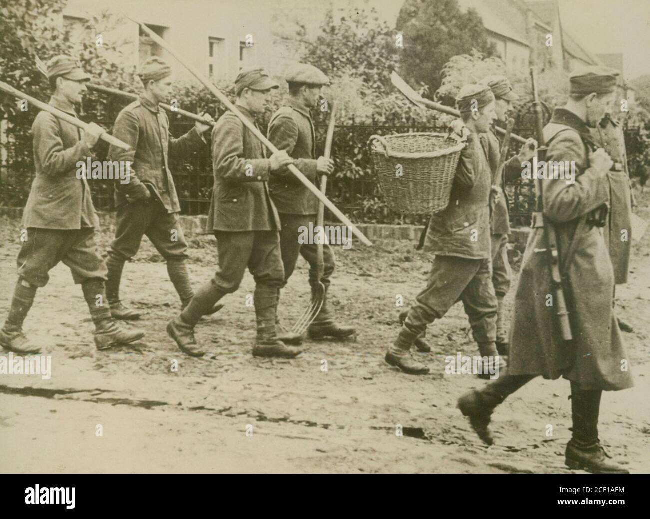 Polish armed forces world war ii hi-res stock photography and images ...