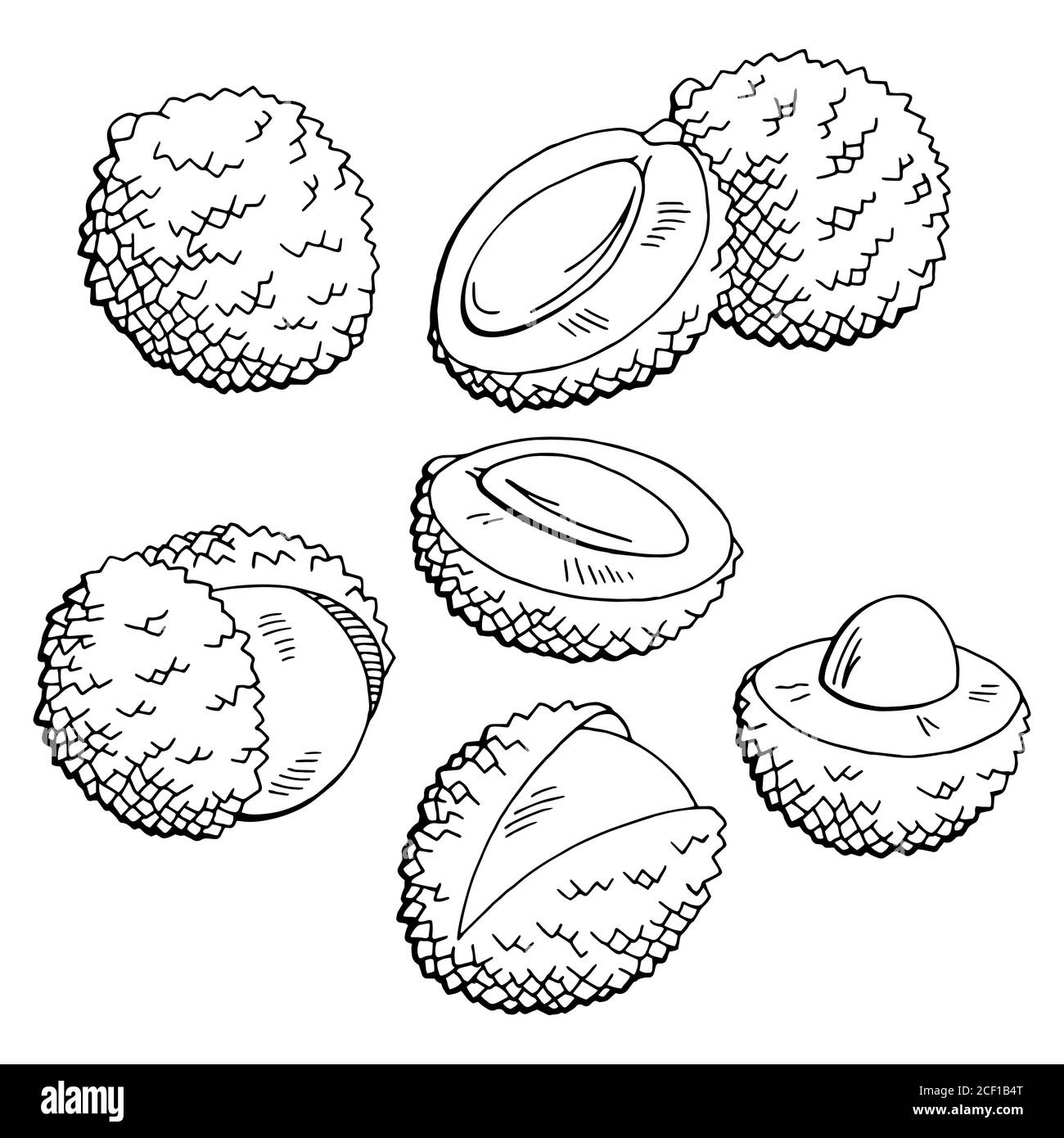 Lychee fruit graphic black white isolated sketch illustration vector ...
